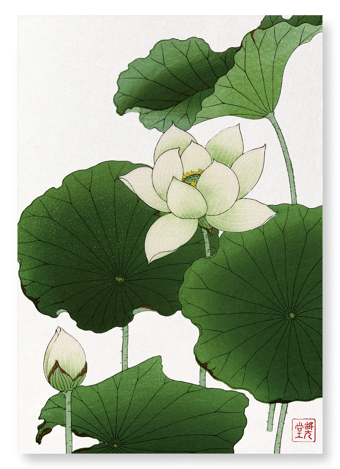 Japanese Lotus Flower Art Lotus Flower Traditional Japanese Flora By
